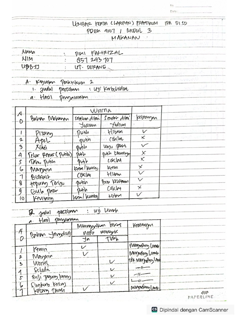 Tugas IPA Modul 3 Diki Fahrizal | PDF