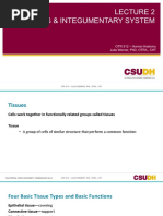 Epithelial Tissue | PDF | Epithelium | Cell Adhesion