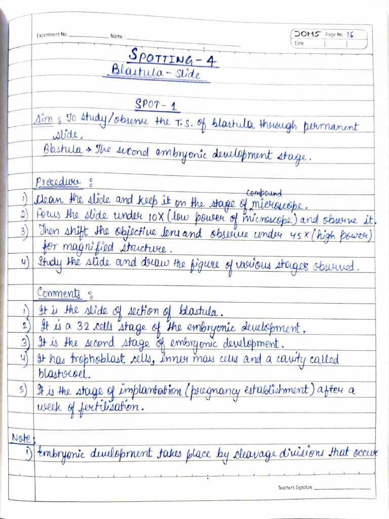 Biology Practical 12 Pdf Developmental Biology Reproduction