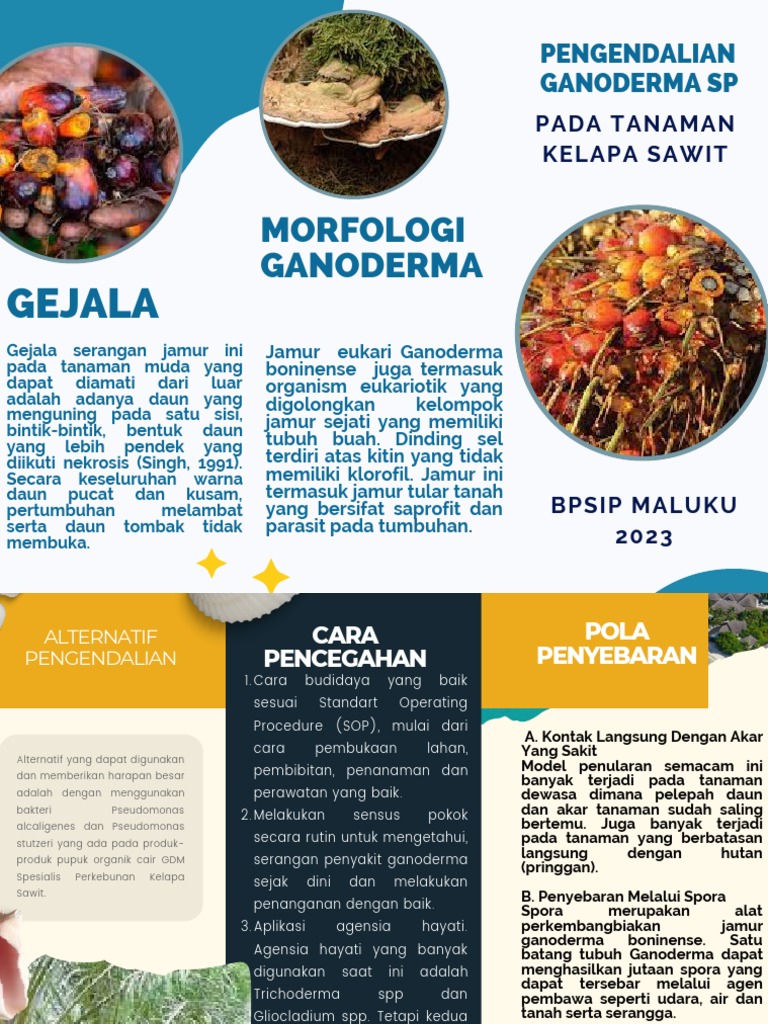 GANODERMA | PDF