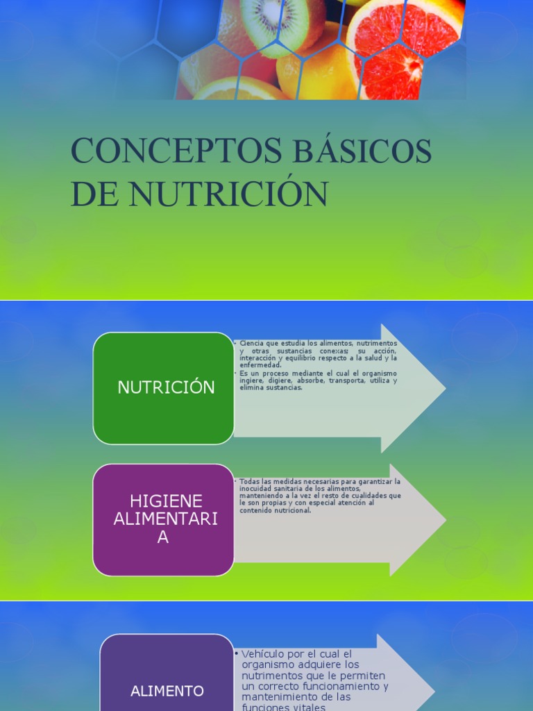 1.Conceptos Basícos de Nutrición | PDF | Nutrición | Dieta y nutrición
