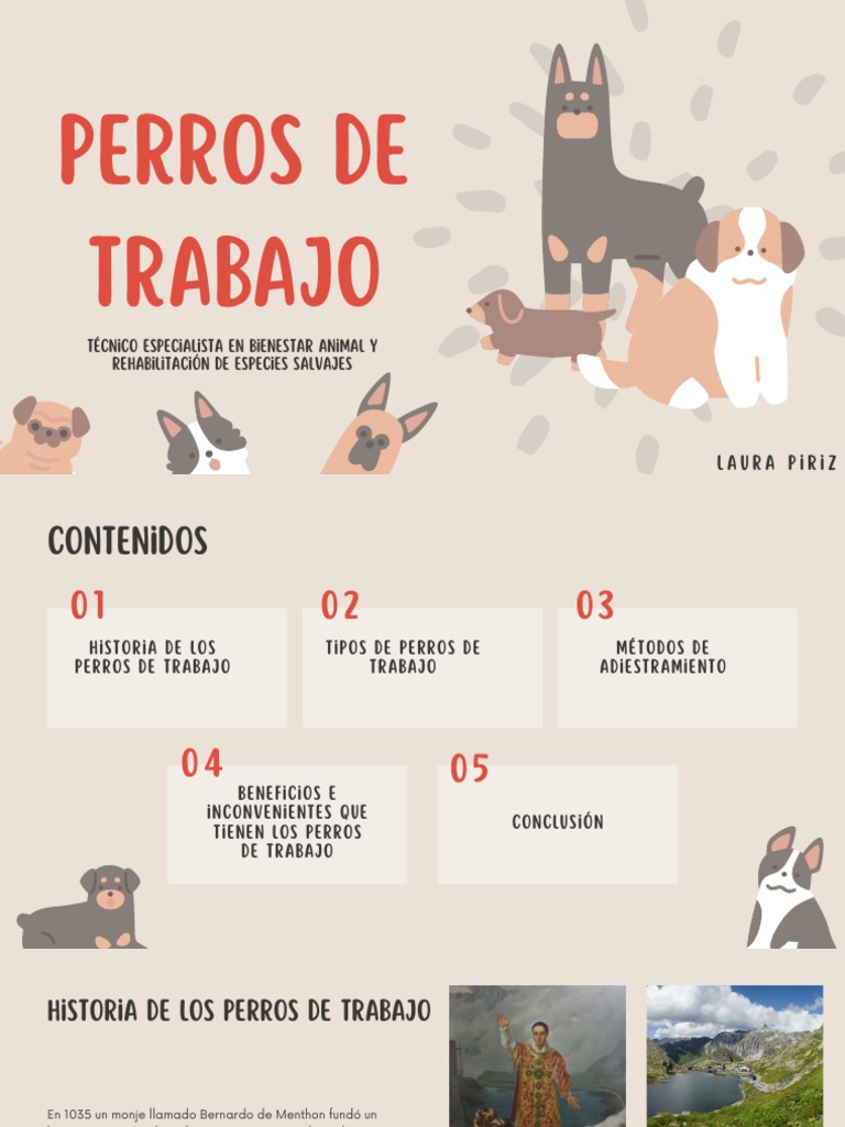 Perros de Trabajo: Tipos y Adiestramiento | PDF | Aprendizaje ...