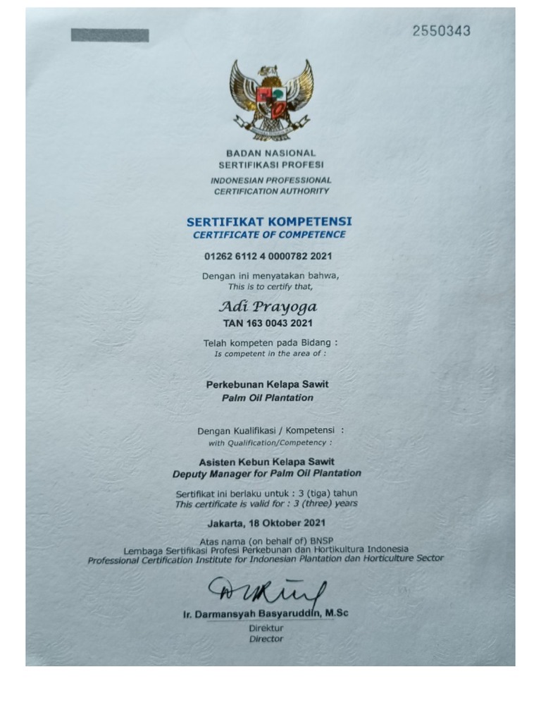 Sertifikat BNSP | PDF