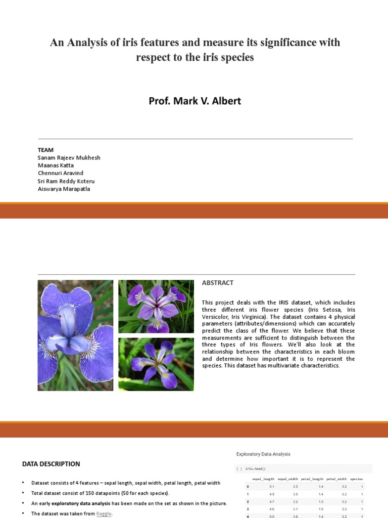 Iris Project Presentation | PDF