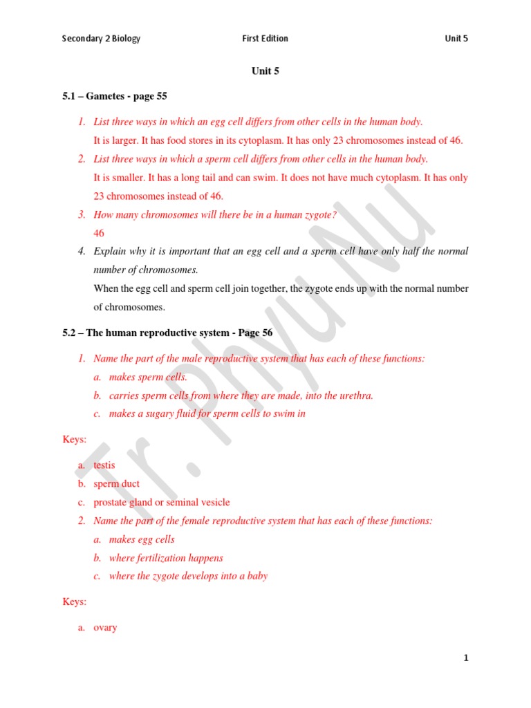 Elephant Egg Cell Chromosome Count | PDF | Fertilisation | Reproductive ...