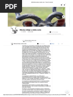 List of Sotho-Tswana Clans | PDF | Bantu | Business