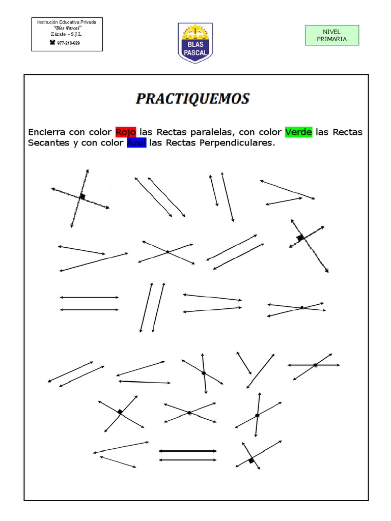 Actividades de Rectas para Colorear | PDF