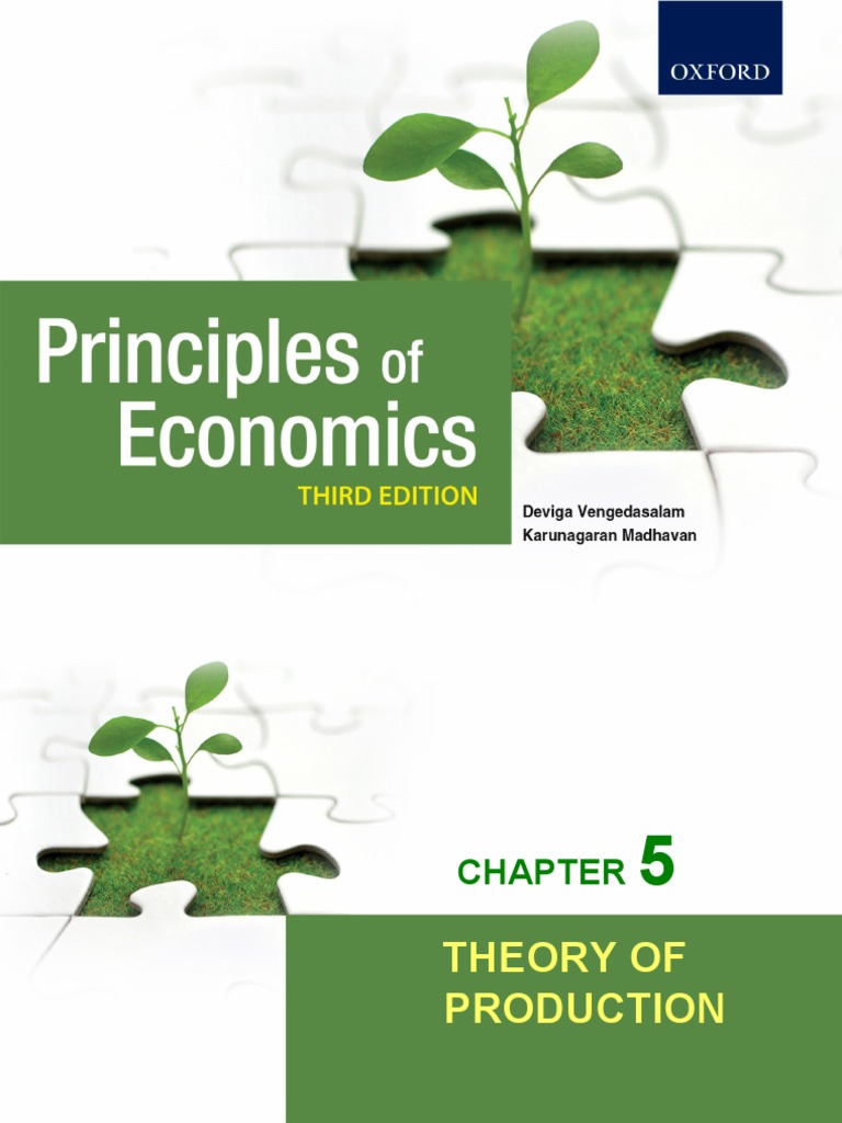 Chapter 5 Theory of Production Update | PDF | Long Run And Short Run | Average Cost
