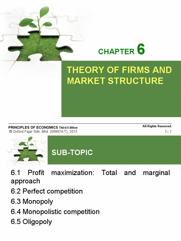 Chapter 6 Theory of Firm and Market Structure - PART 1 | PDF | Profit ...
