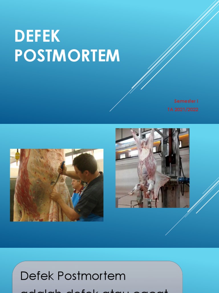 Pertemuan 3 - Postmortem | PDF | Kesehatan Holistik | Sains & Matematika