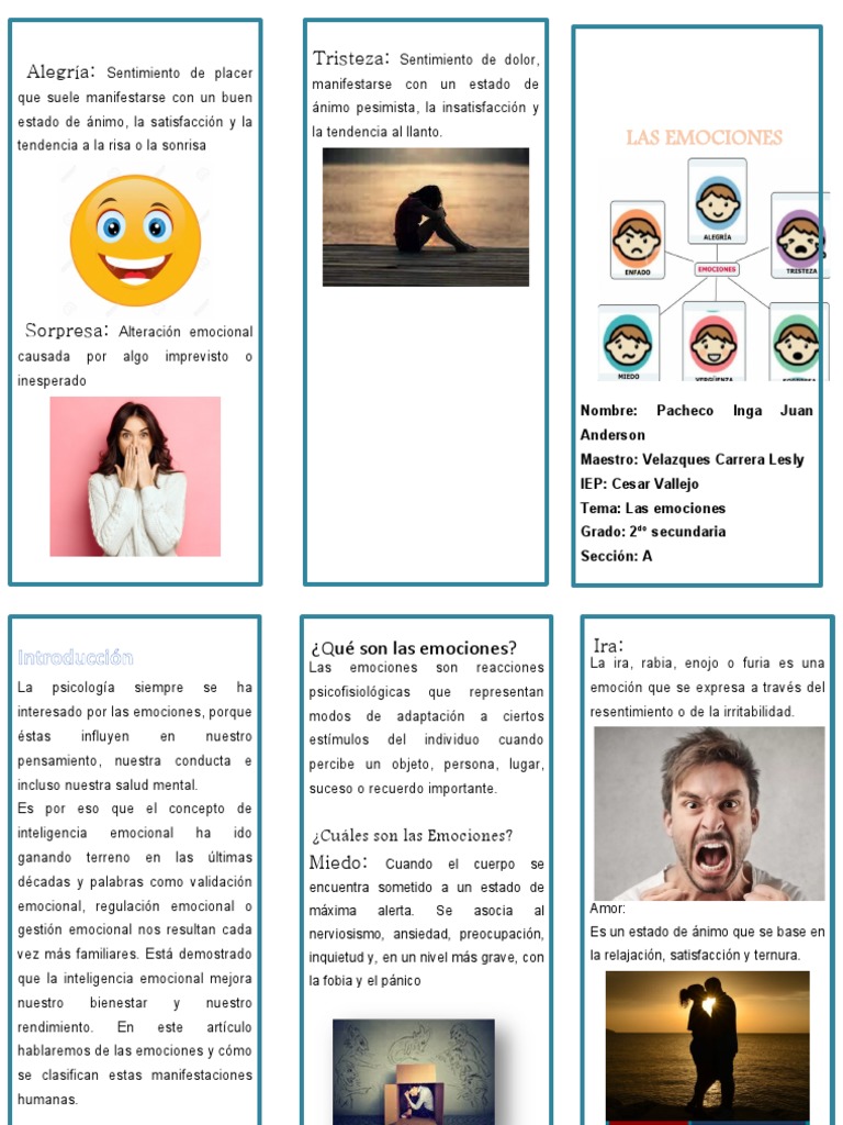Triptico de Las Emociones 2 | PDF | Las emociones | Ira