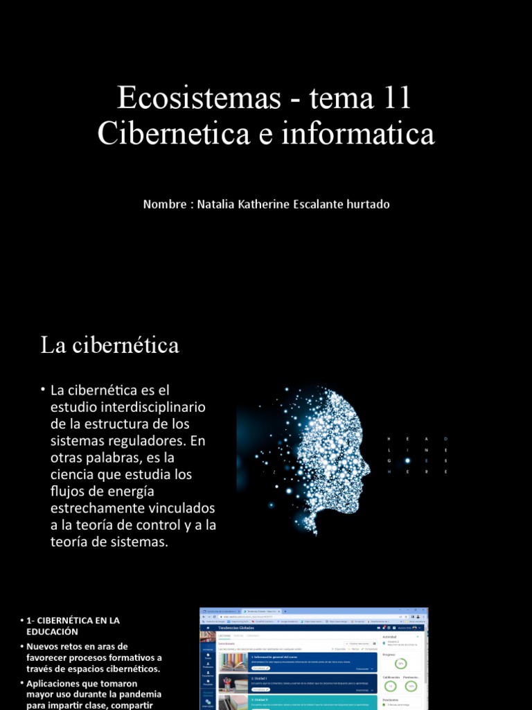Ecosistemas - Tema 11 Cibernetica e Informatica | PDF | La seguridad informática | Seguridad