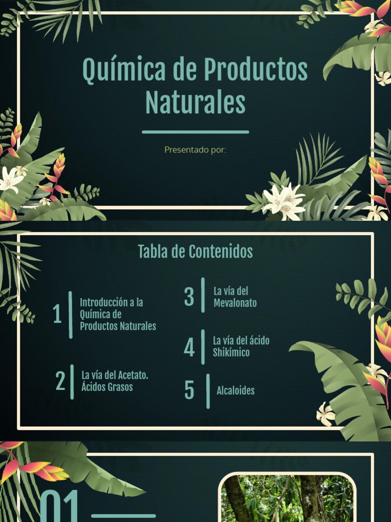 Presentación Acerca de La Quimica de Los Productos Naturales. | PDF ...