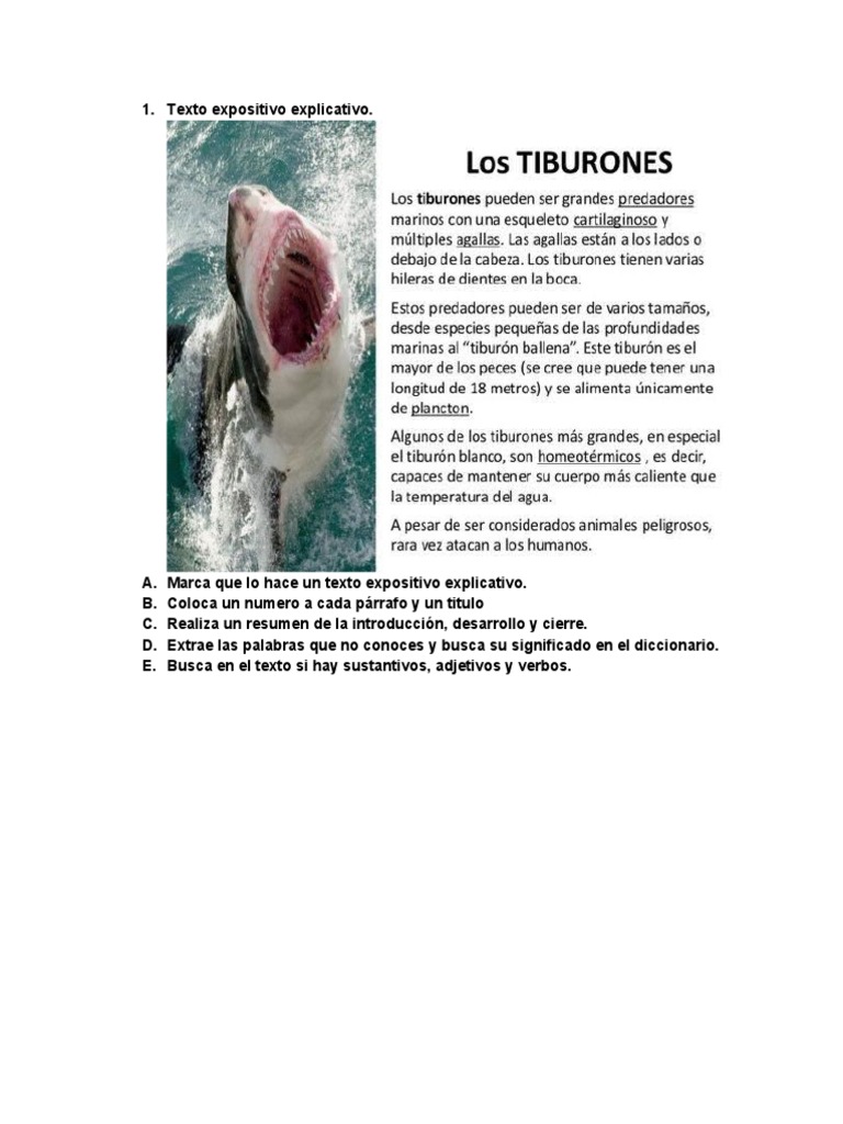 Texto Expositivo Explicativo | PDF Texto Expositivo Explicativo | PDF