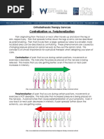 Understanding Active and Passive Insufficiency | PDF | Human Anatomy ...