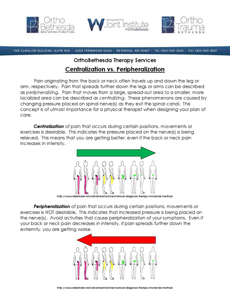 Centralization Vs Peripheralization | PDF