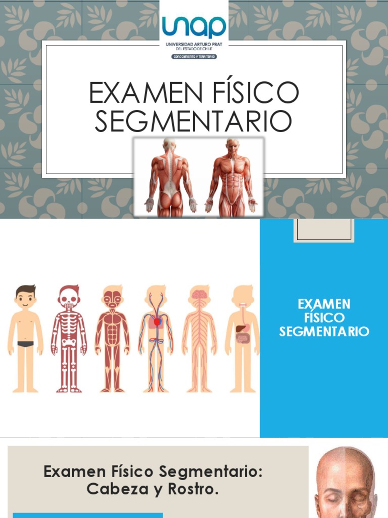 Examen Físico Segmentario | Descargar gratis PDF | Ojo | Ojo humano