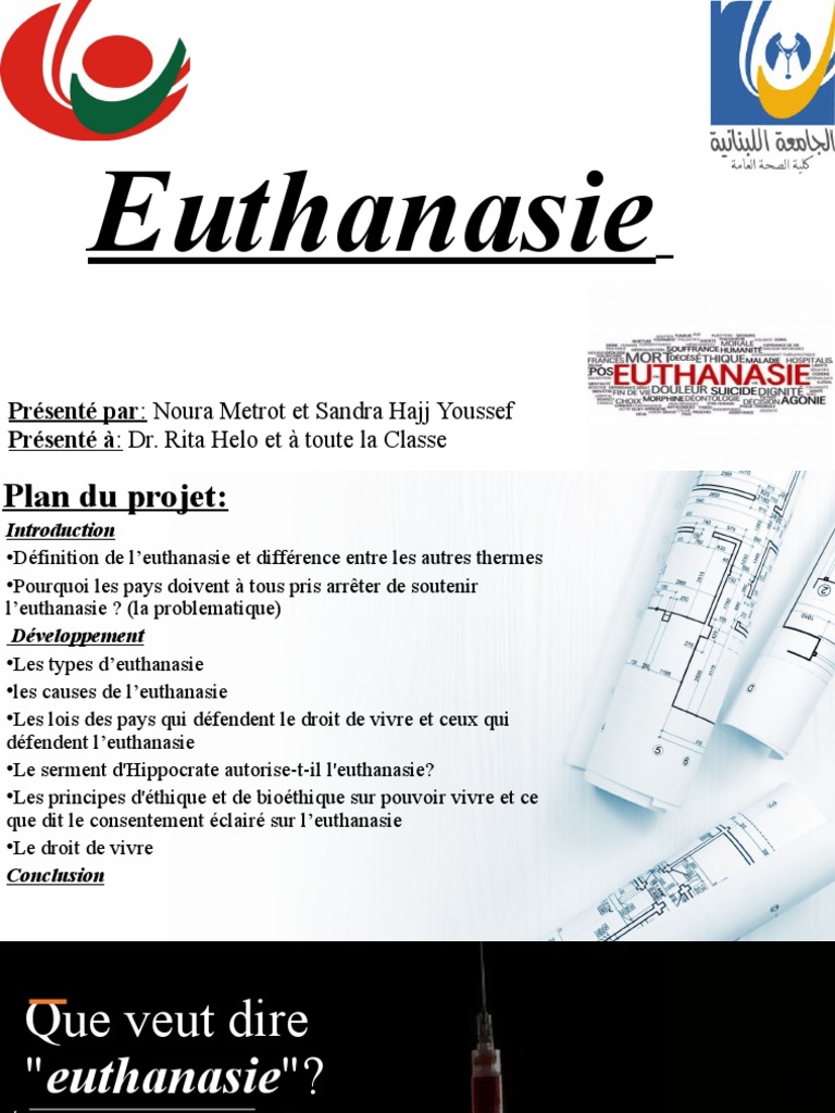 Euthanasie Et Bioethique | PDF | Bioéthique | Éthique appliqué
