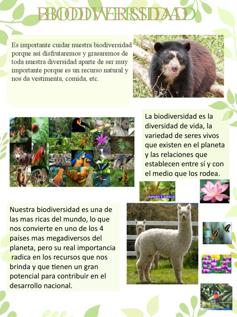 Afiche Biodiversidad | PDF