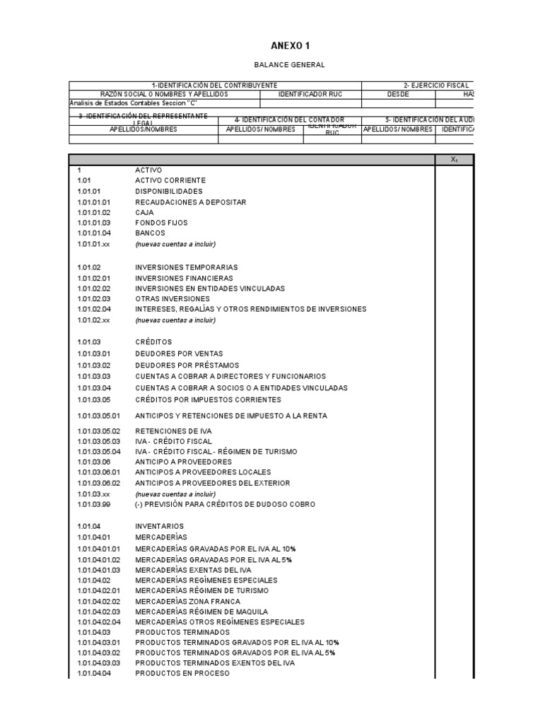 Modelo de EEFF Res.49 - 14 | PDF | Contabilidad | Depreciación