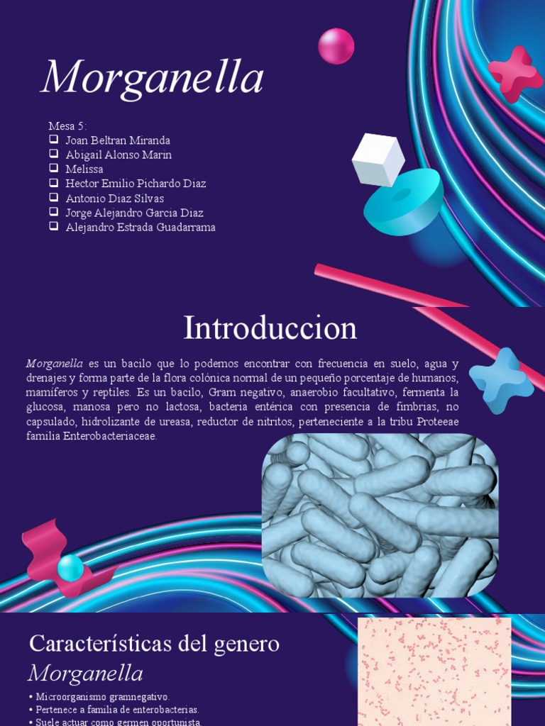 Morganella: Infecciones y Tratamiento | PDF | Las bacterias | Medicina ...