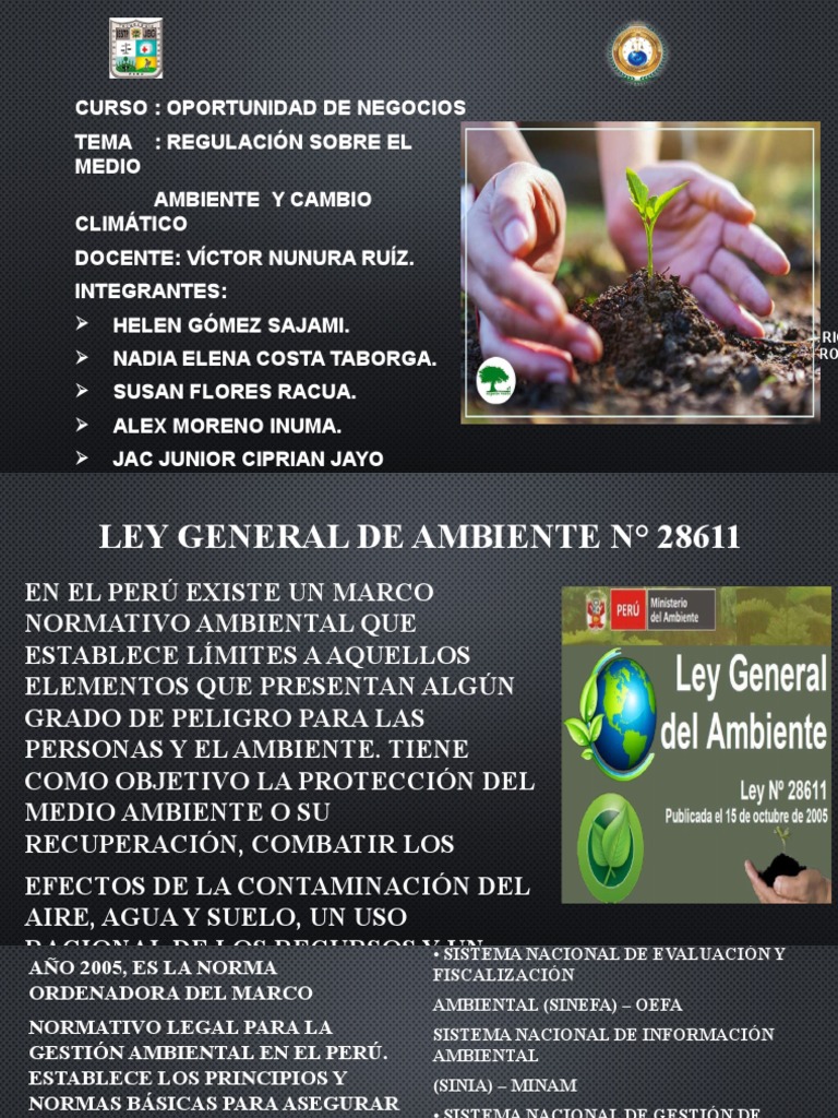 Regulacion Medio Oportunidad de Negocio (Exposicion) OFICIAL | PDF ...