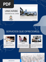 Servicios Que Brinda Unicaribe | PDF