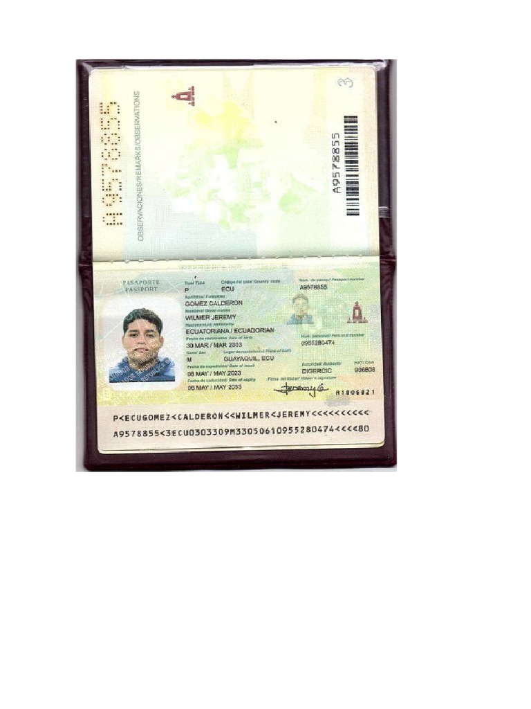 Pasaporte | PDF