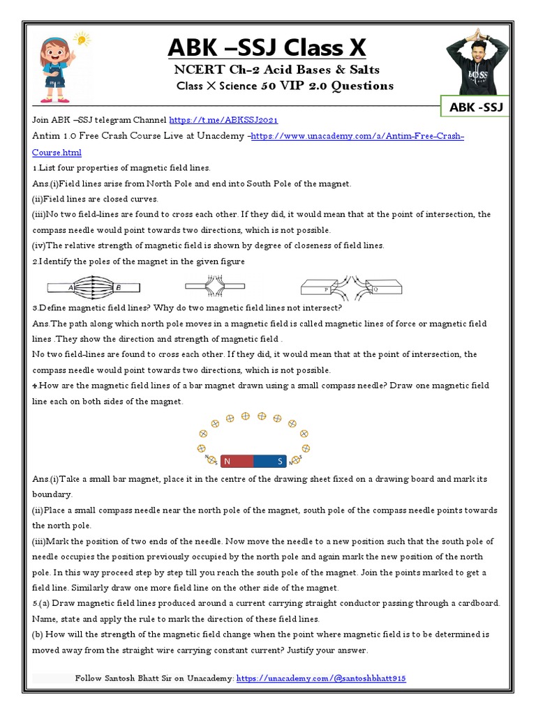 10 VIP Questions Class 10 Science ABK-SSJ | PDF | Magnetic Field | Magnet