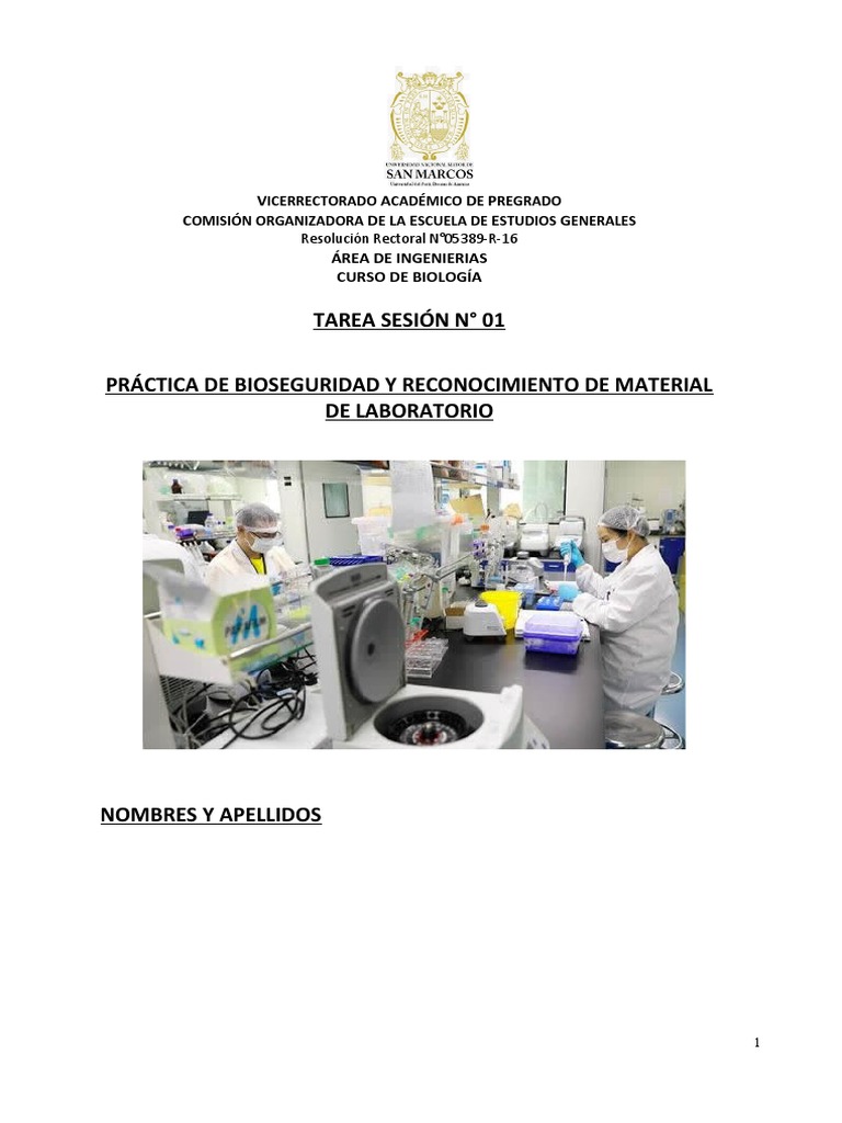Sem 1 - Tarea 1 - Practica - 2020-IIgab | PDF | Laboratorios