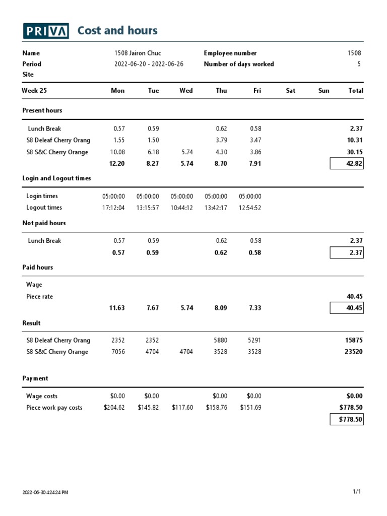 Priva Weekly Timesheet 2522 | PDF