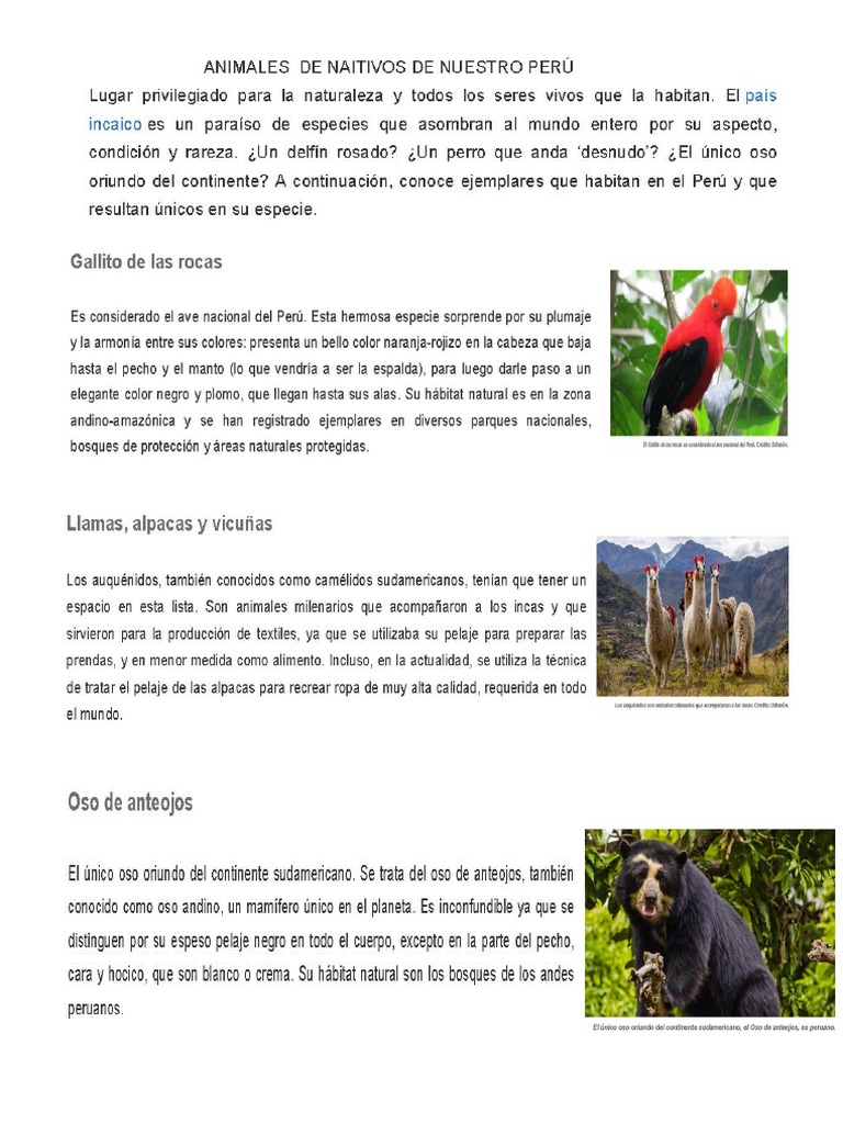 Los Animales Nativos de nuestro Perú | PDF