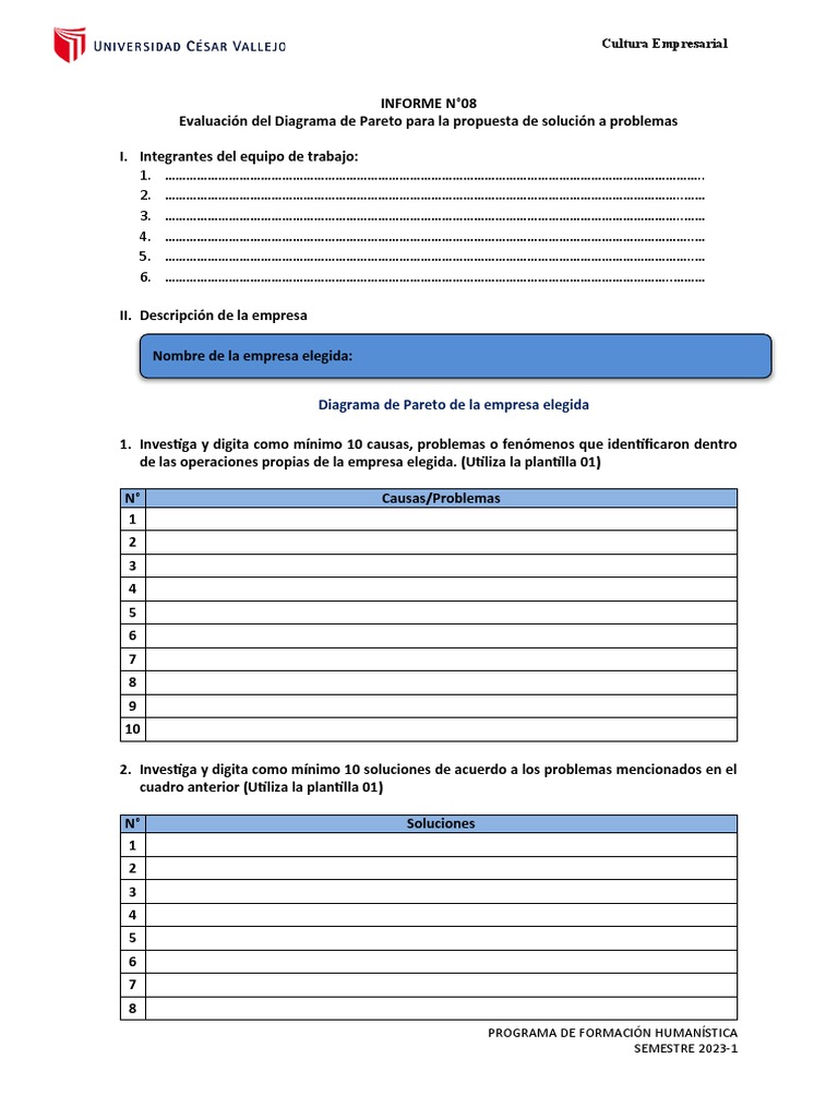 Formato Informe #12 | PDF