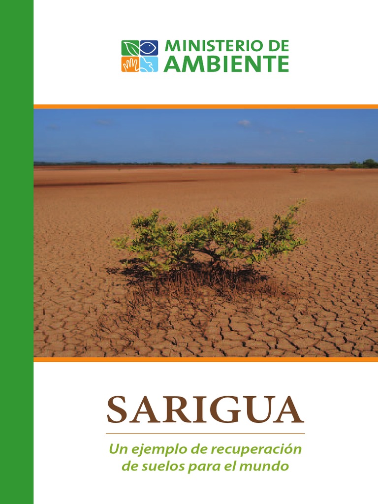 Sarigua ejemplo para el mundo | PDF | Deforestación | Mangle