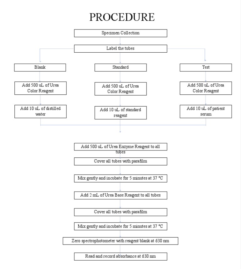 Flowchart Clinical Chemistry | PDF