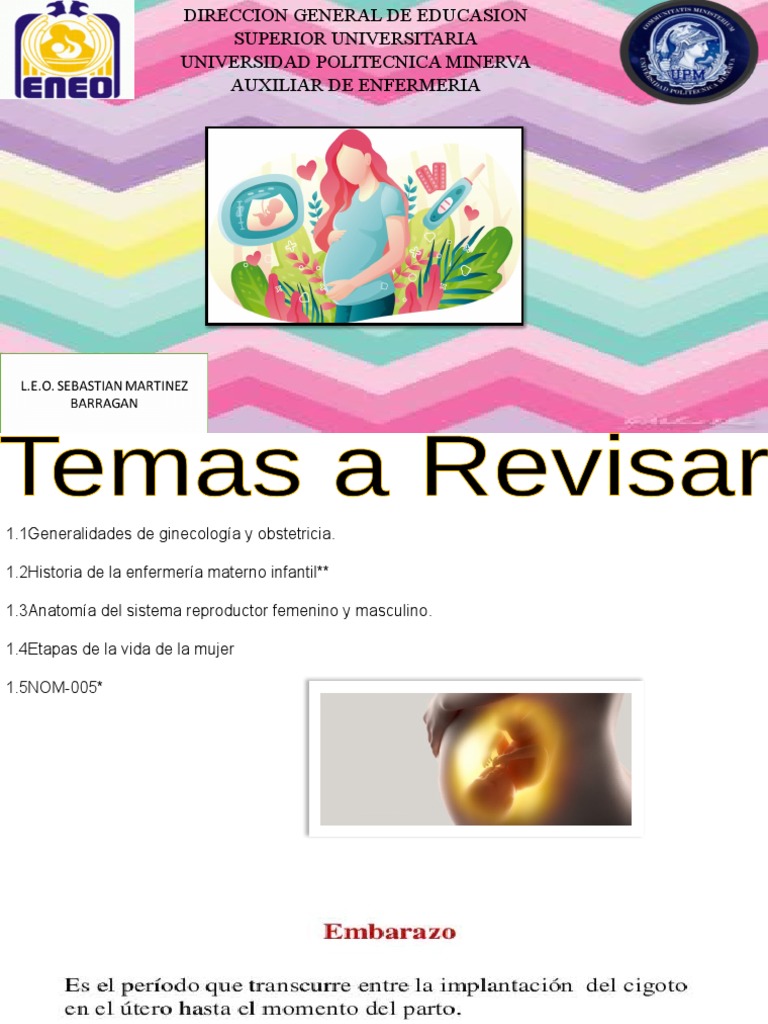 Tema 1 de Gineco Obstetricia | PDF