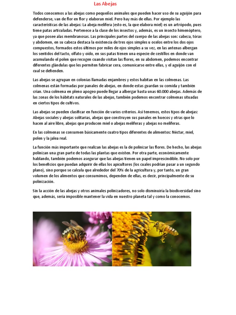 Las Abejas | PDF | Abejas | Colmena
