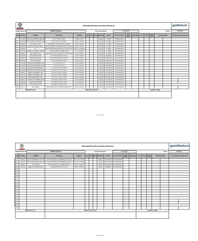 Programación Diaria Asistencia Preventiva | PDF