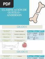 Escala San Elian Minsal | PDF | Pie | Enfermedades y trastornos humanos