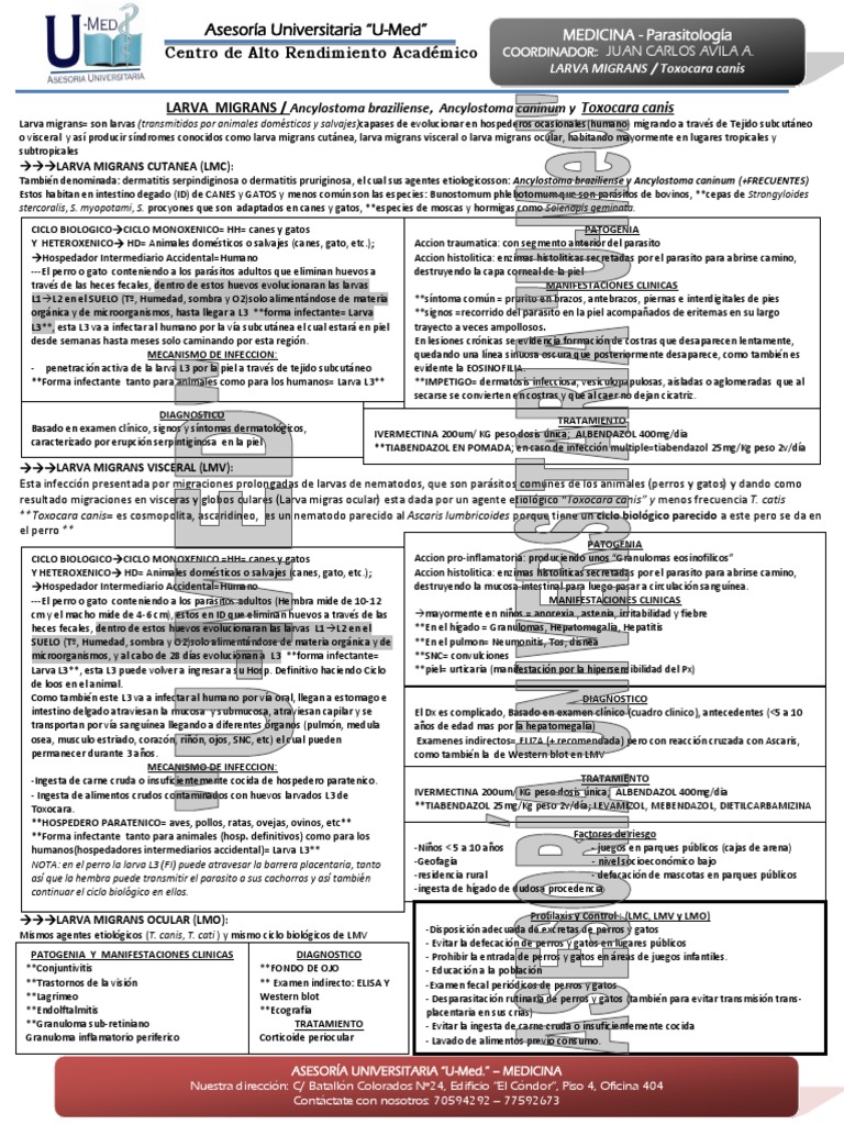 2 U-MED Apuntes LARVA MIGRANS-Toxocara Canis | PDF | Gatos ...