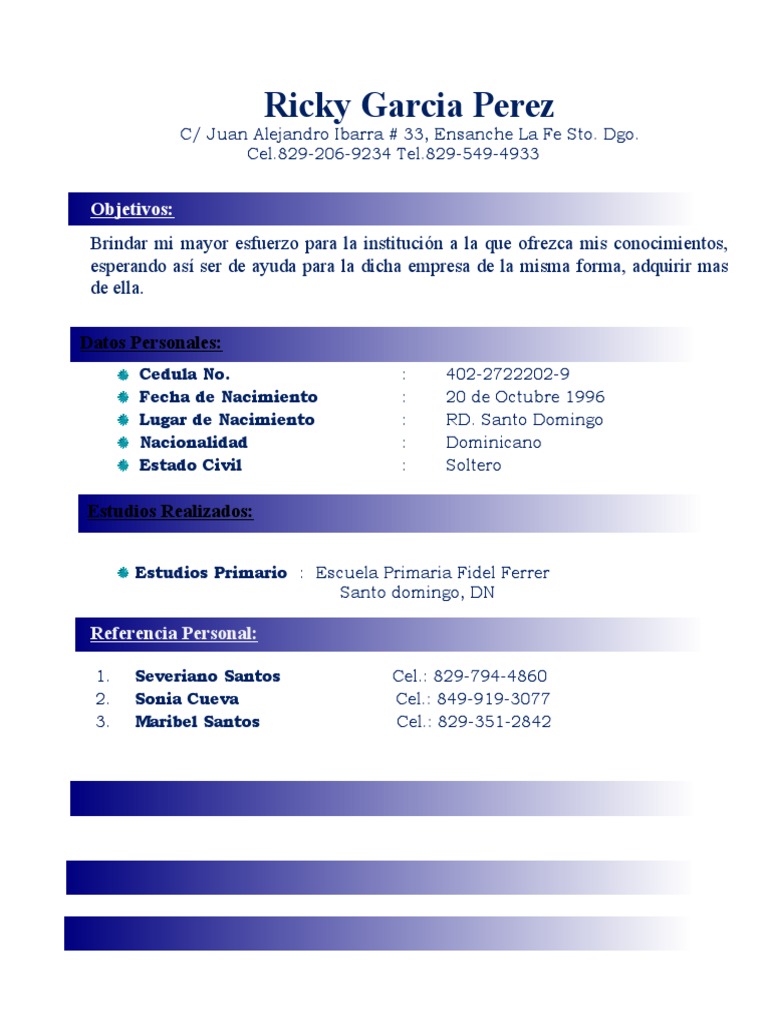 Curriculum de Ricky | PDF