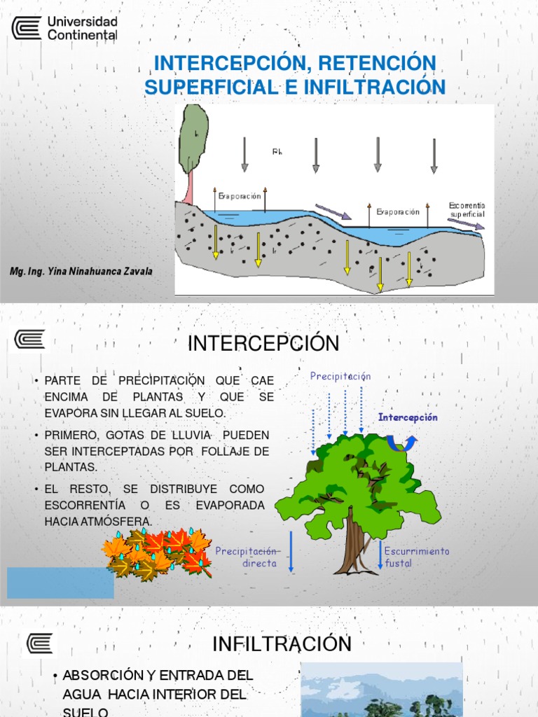 Sesión 9 Intercepción, Retención Superficial e Infiltración | PDF ...
