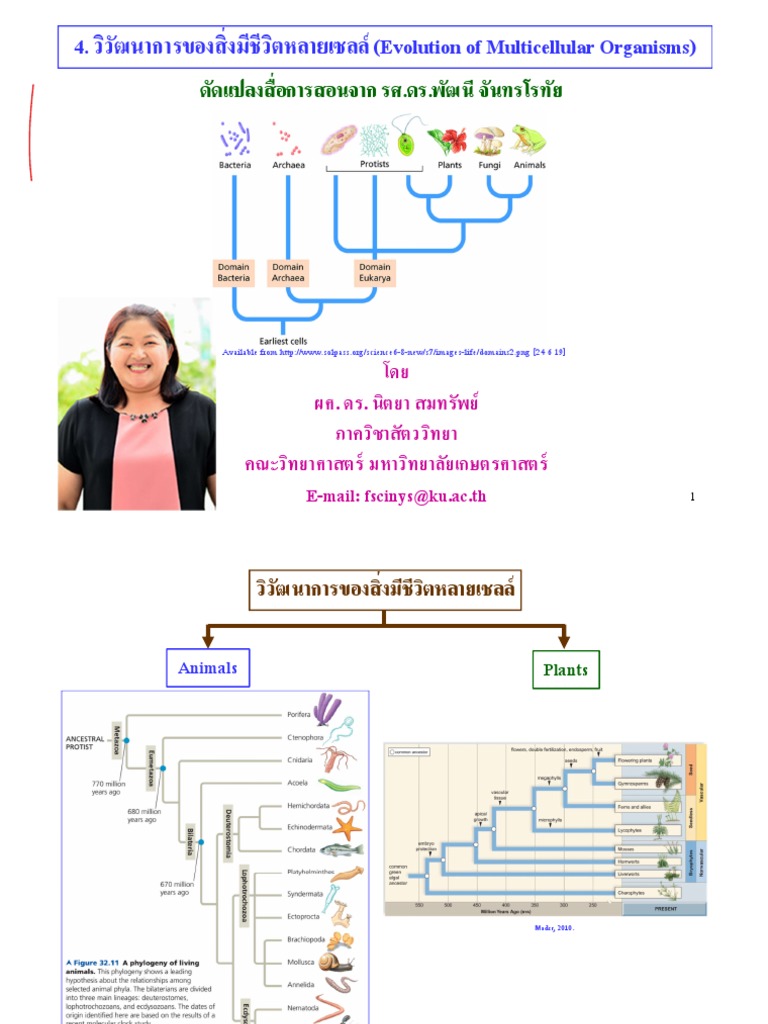 Bio 4 Pdf