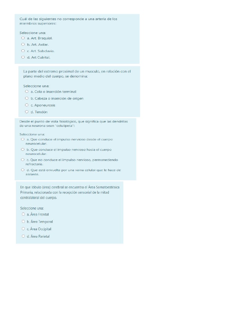 Examen Final Anatomia | PDF