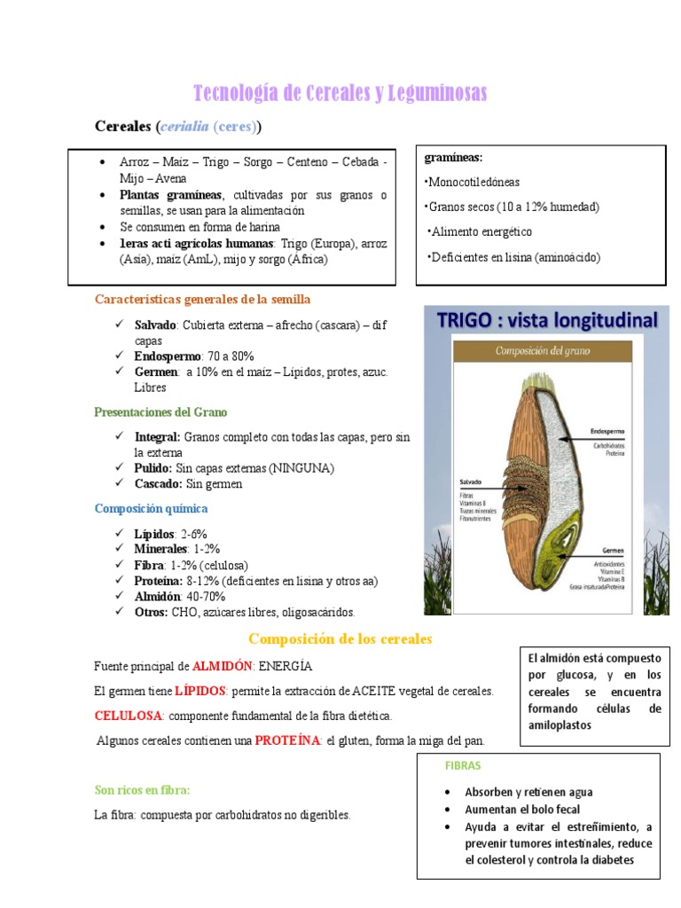 Características y Usos de Cereales y Leguminosas | PDF | Cereales | Leche