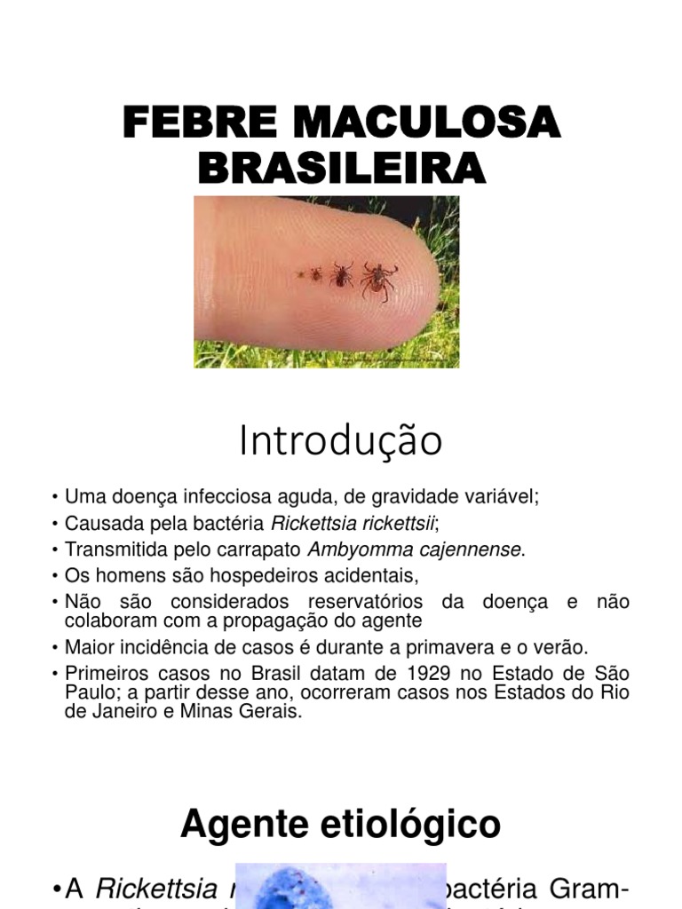 Febre Maculosa | PDF | Especialidades médicas | Remédio