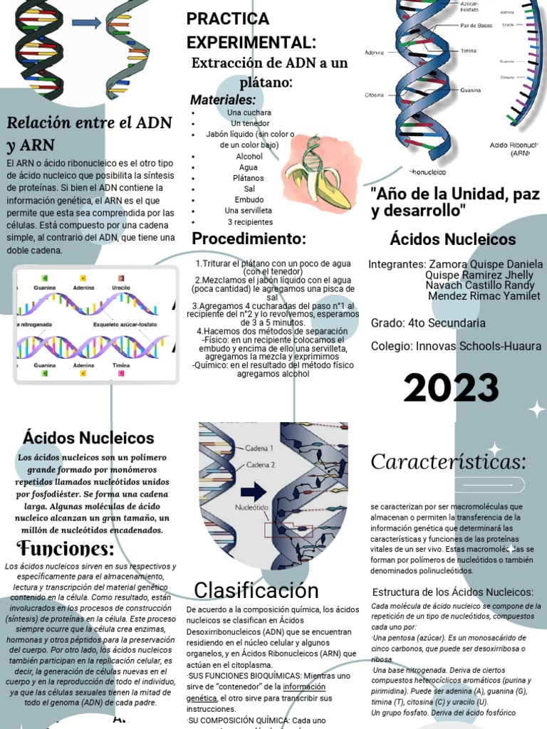 Tri'ptico | PDF | Ácidos nucleicos | Adn