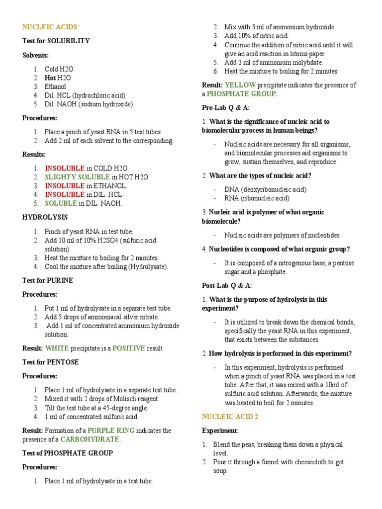 Practical-Biochem-Notes-MIDTERM | PDF | Digestion | Stomach