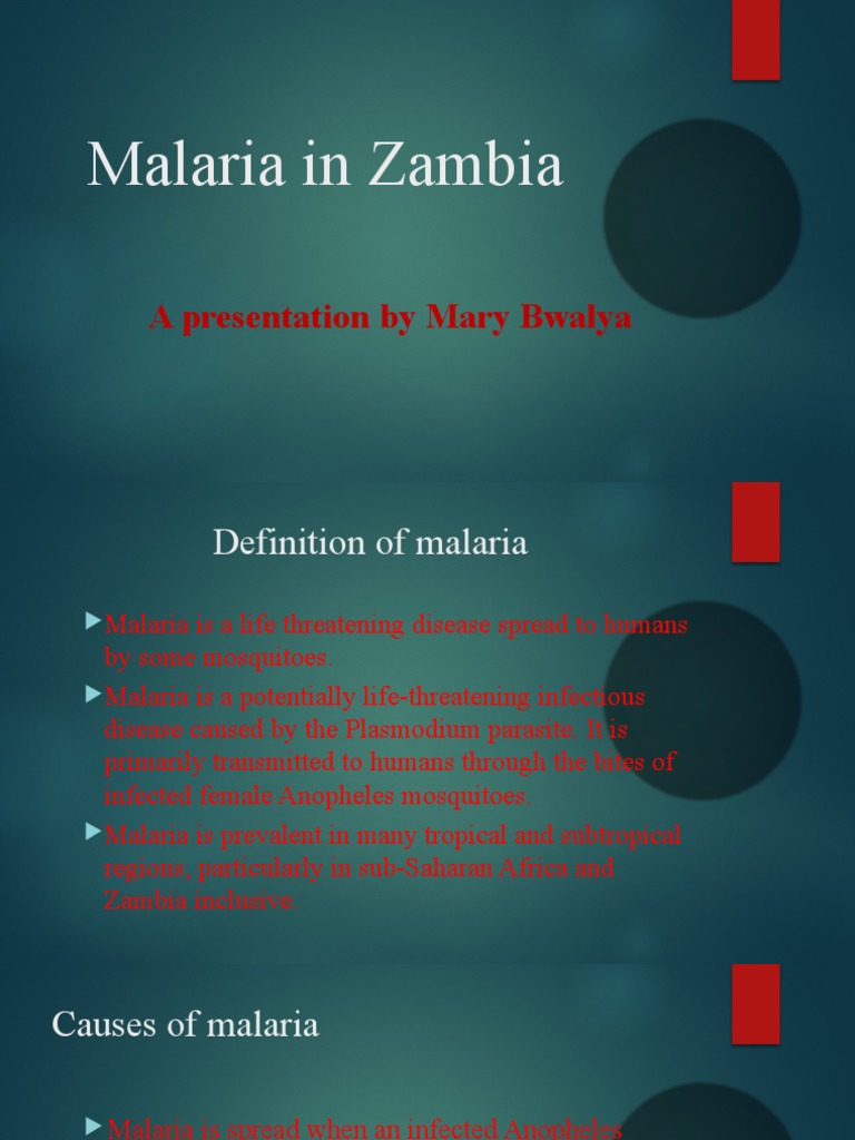 Mary Bwalya PPT On Malaria | PDF | Malaria | Mosquito