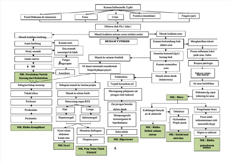 PDF Woc Demam Typhoid Compress | PDF